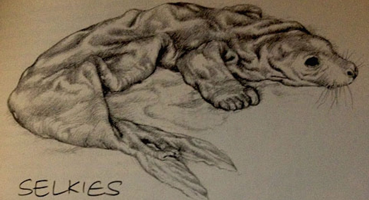 Magical Skins: The Selkie’s Transformation | Open Graves, Open Minds