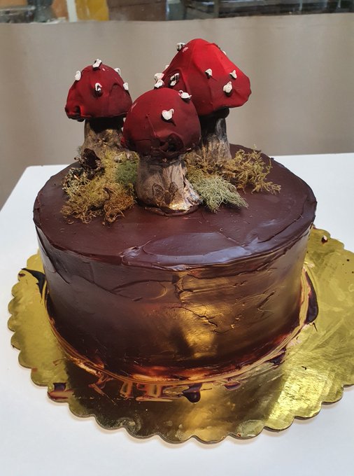 On the Day: Photos, Impact, and Links | Open Graves, Open Minds